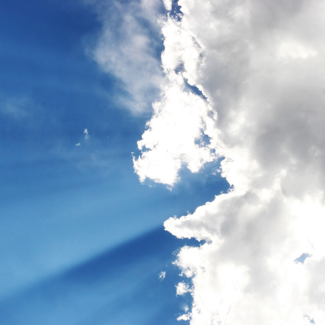 The Value of a True Cloud ERP Solution Outside of Actual Costs