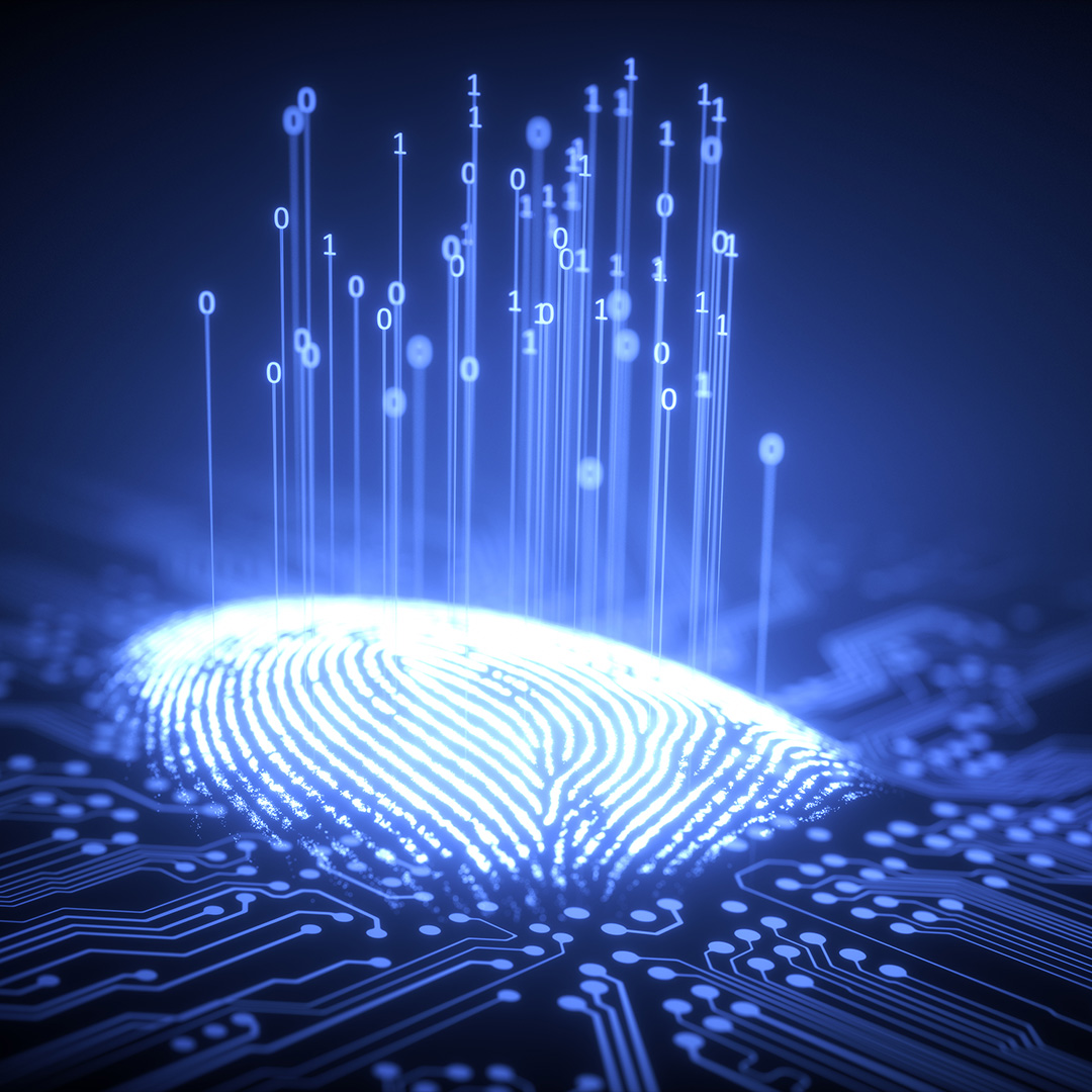 Three Options for Free Identity Protection at the Office