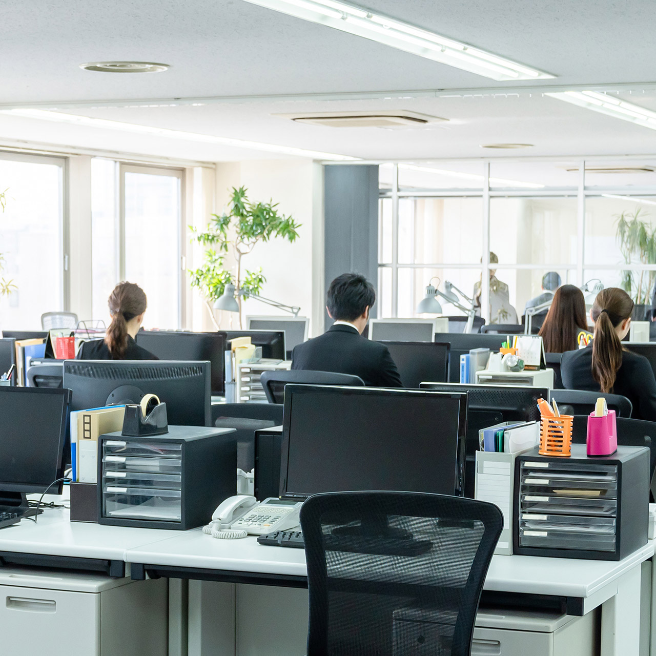 The Back-Office Challenge: Joining the ERP System Progression