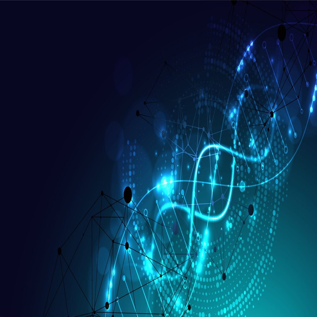 How to Create a NetSuite Opportunity Record - Sikich LLP