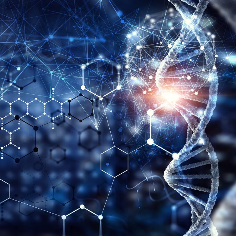 Technology | Accounting Tax and Audit | Advisory | Sikich