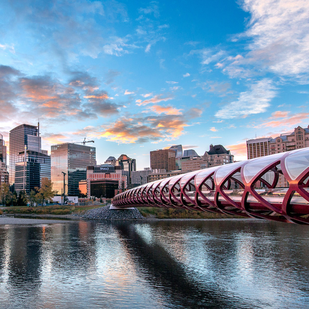 Calgary Economic Development CRM Cloud Nine EDO Case Study